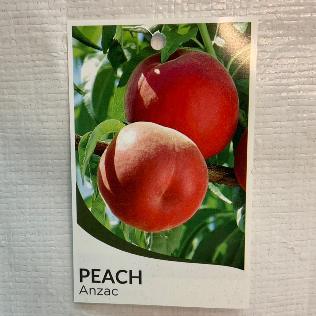 Formosa Gardens Nursery, Ballarat