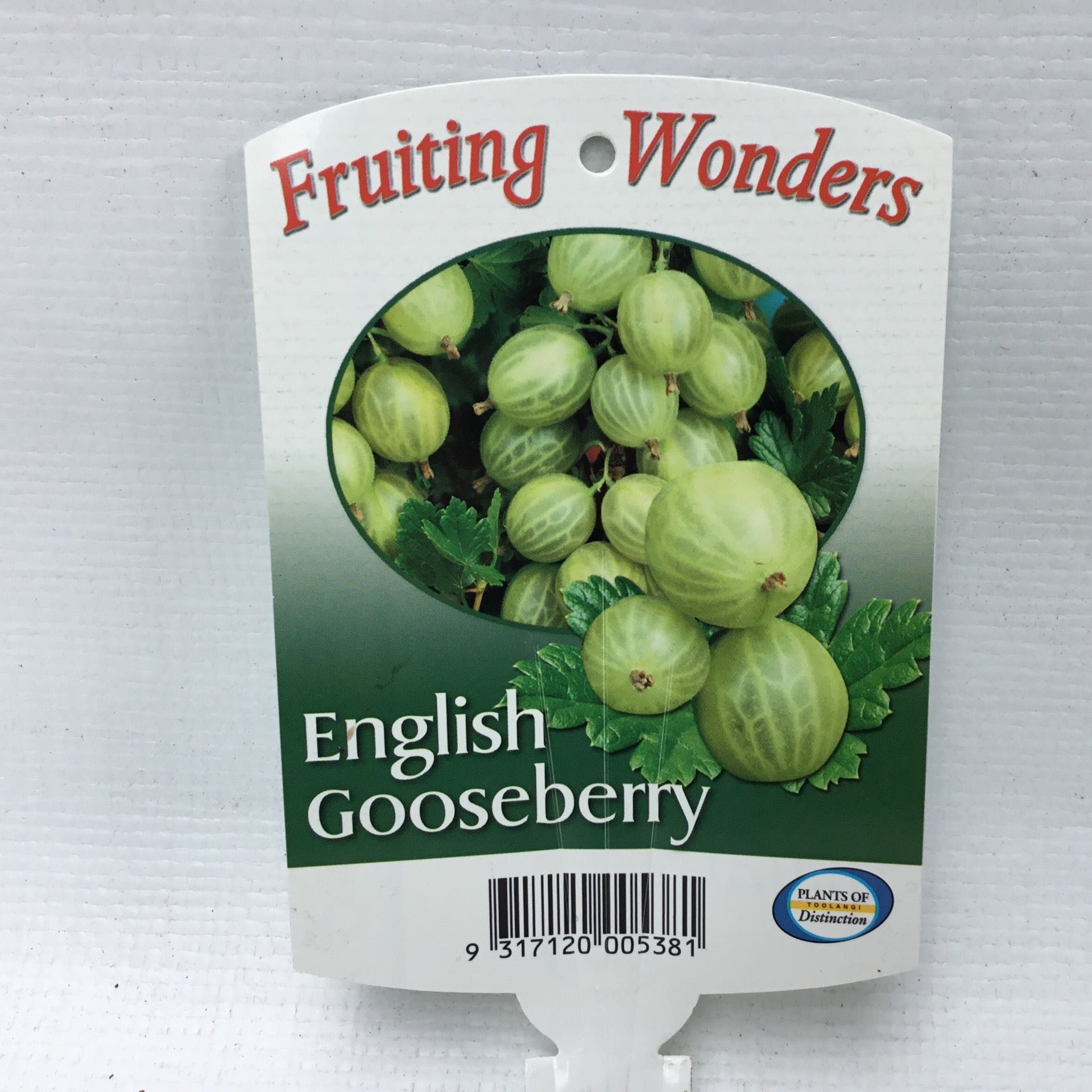 English gooseberry | Formosa Gardens Nursery, Ballarat