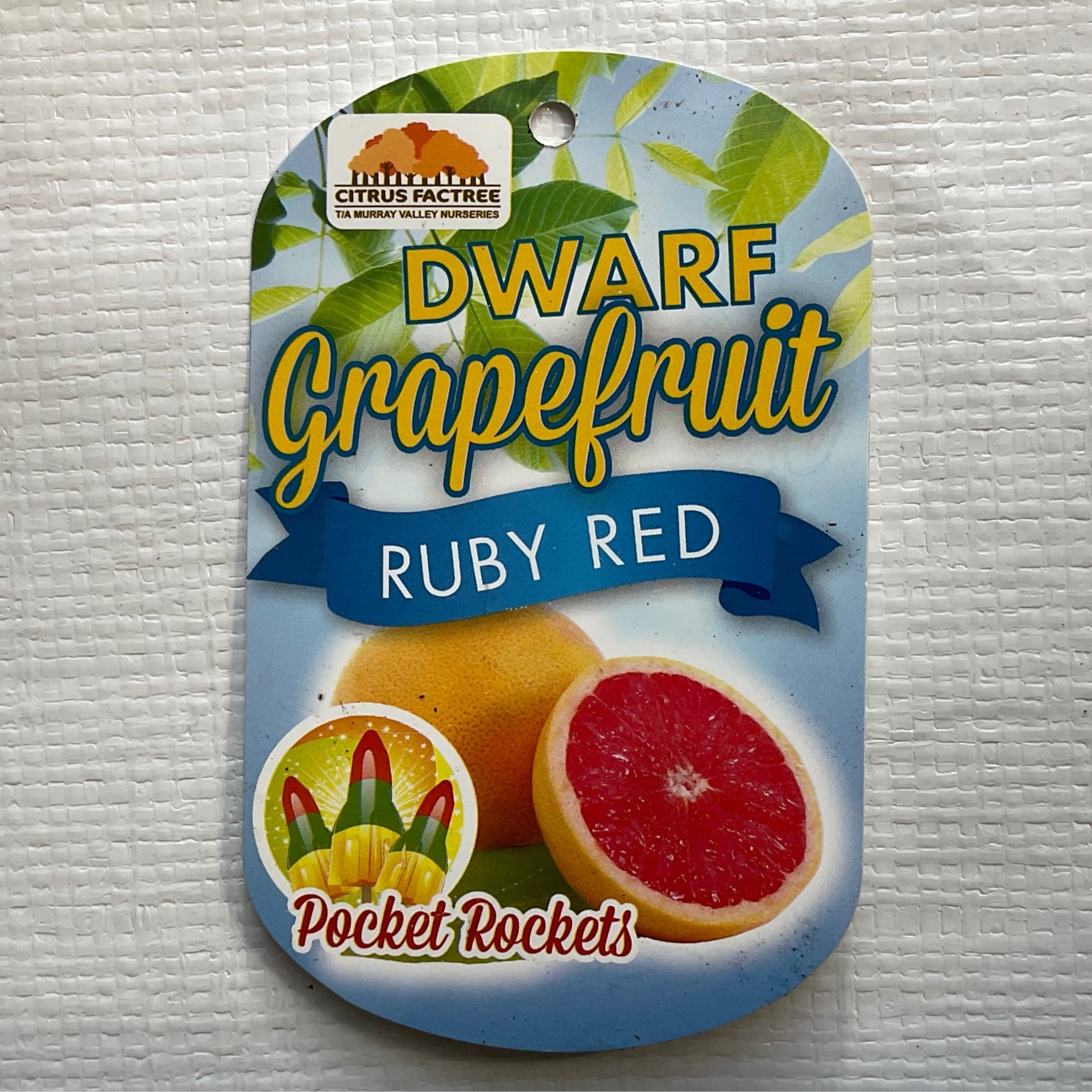 Grapefruit Dwarf Ruby Red | Formosa Gardens Nursery, Ballarat