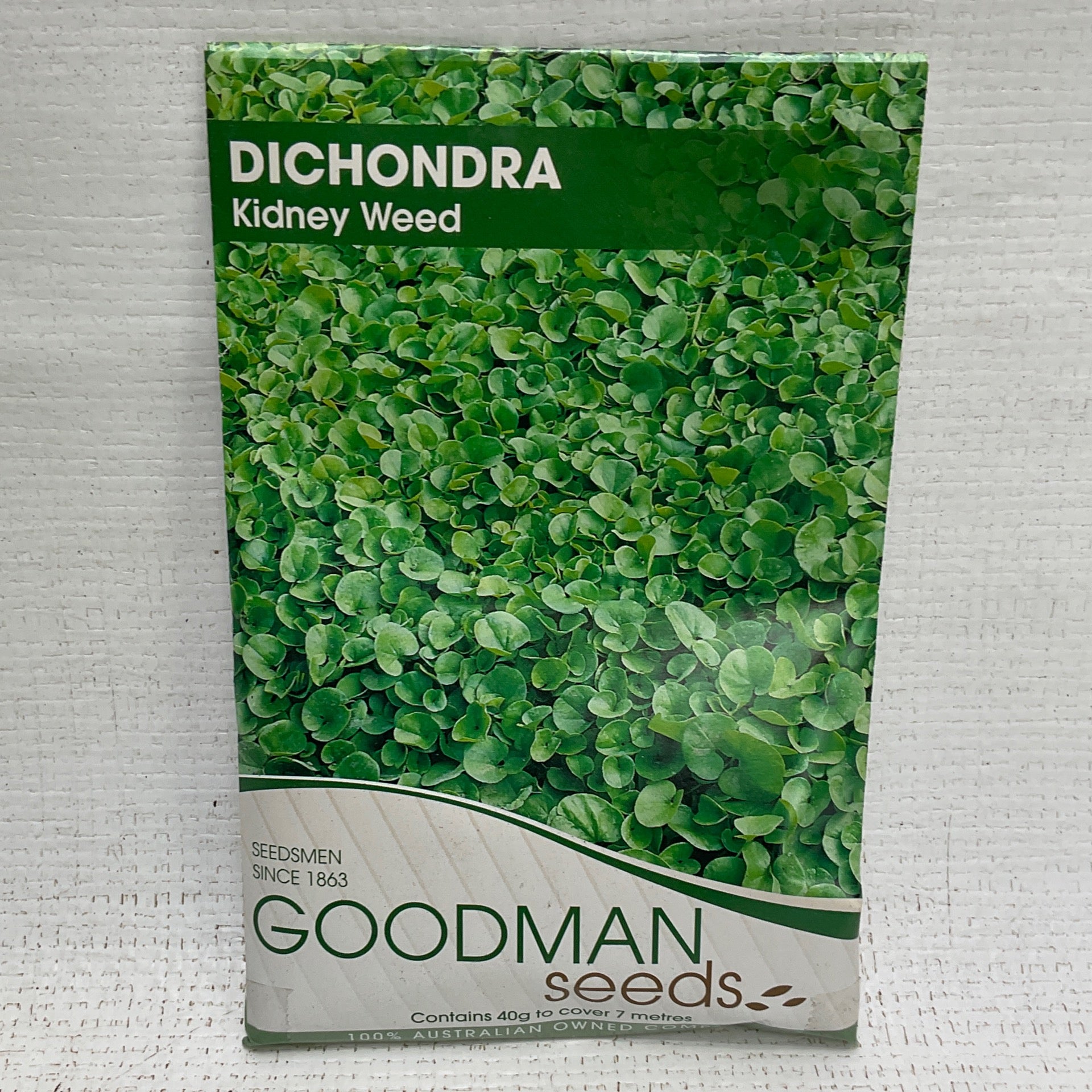 Dichondra kidney weed | Formosa Gardens Nursery, Ballarat