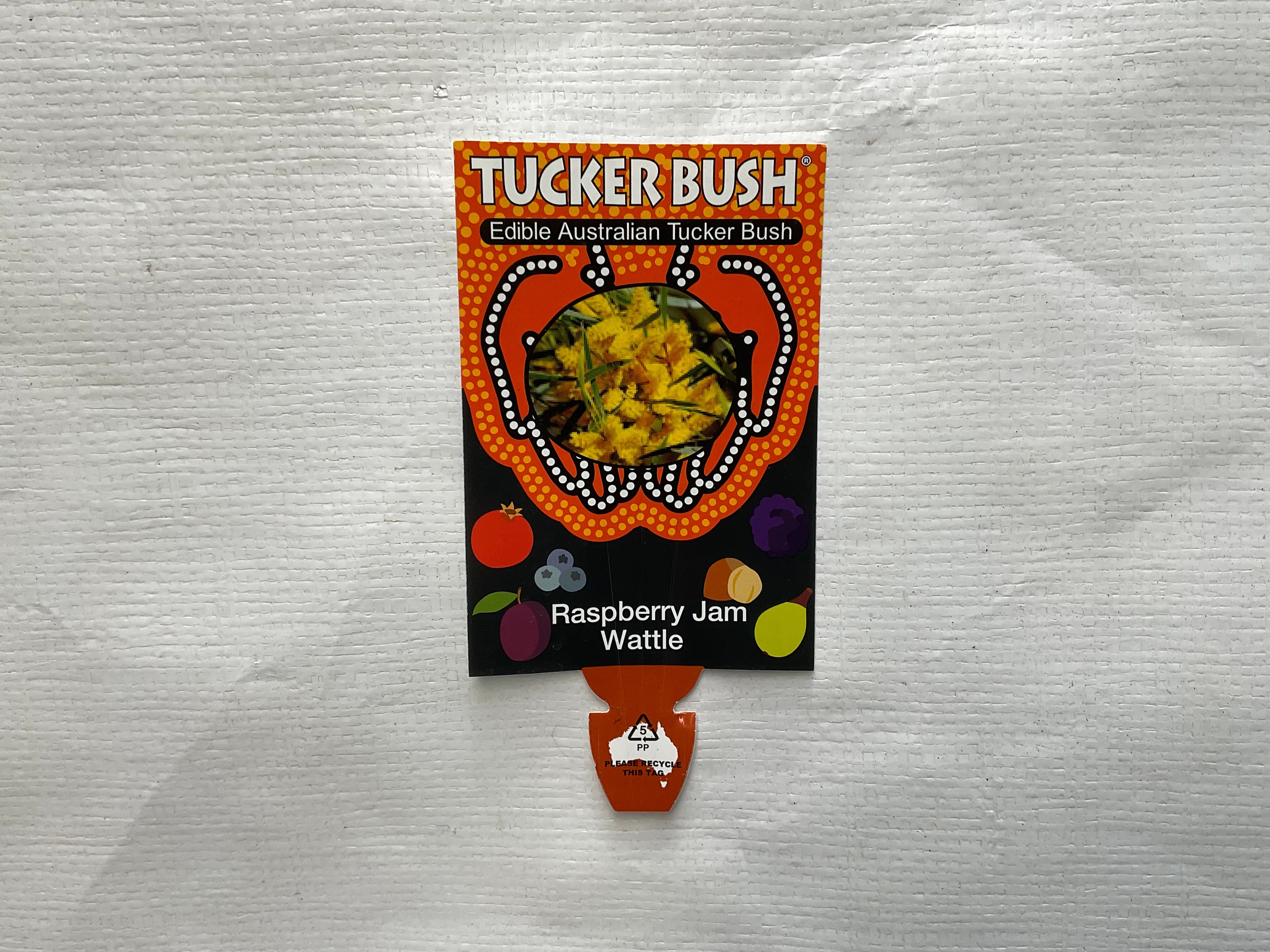 Bush tucker raspberry jam wattle | Formosa Gardens Nursery, Ballarat