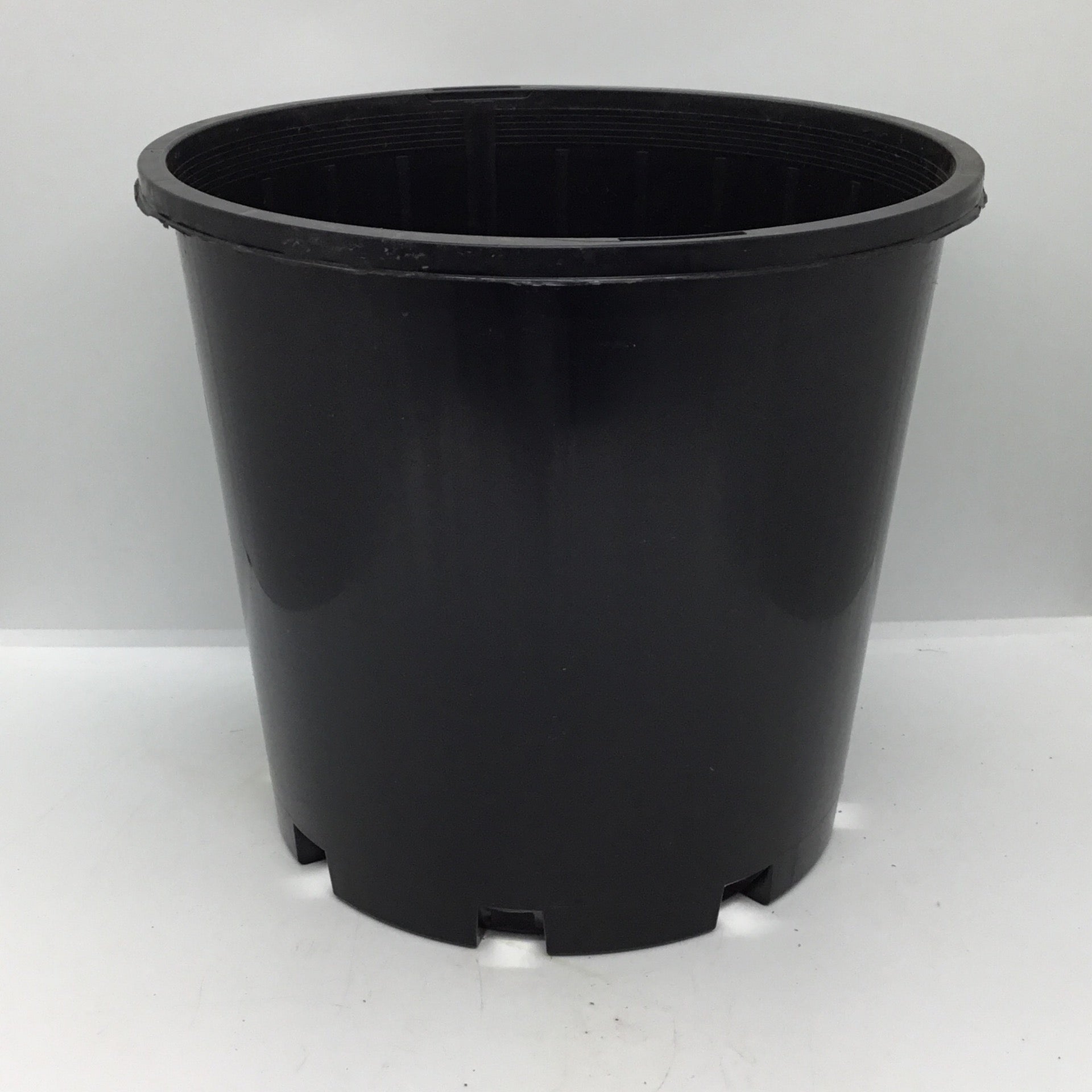 Black plastic pot | Formosa Gardens Nursery, Ballarat