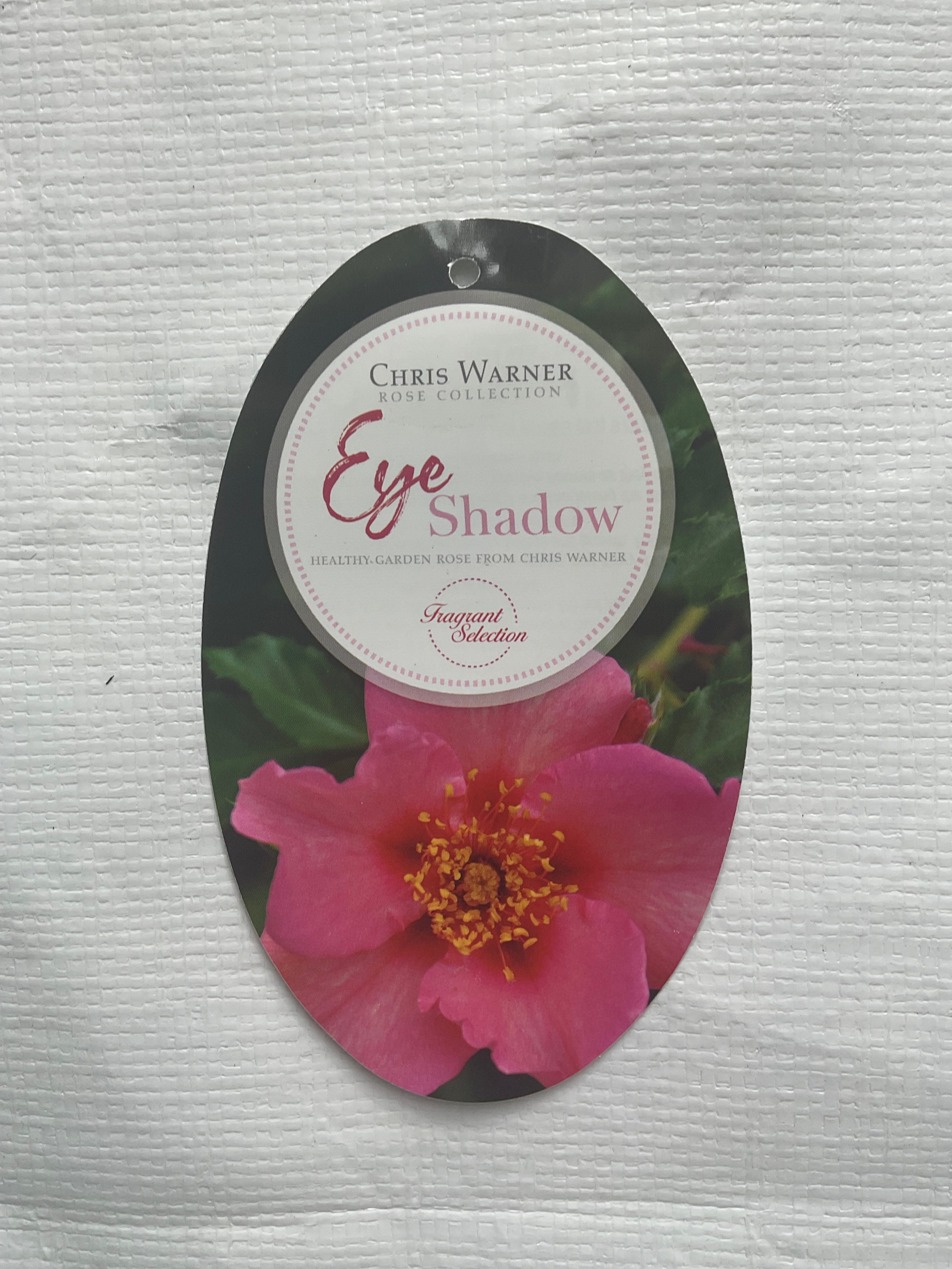 Eye Shadow Bush Rose | Formosa Gardens Nursery, Ballarat