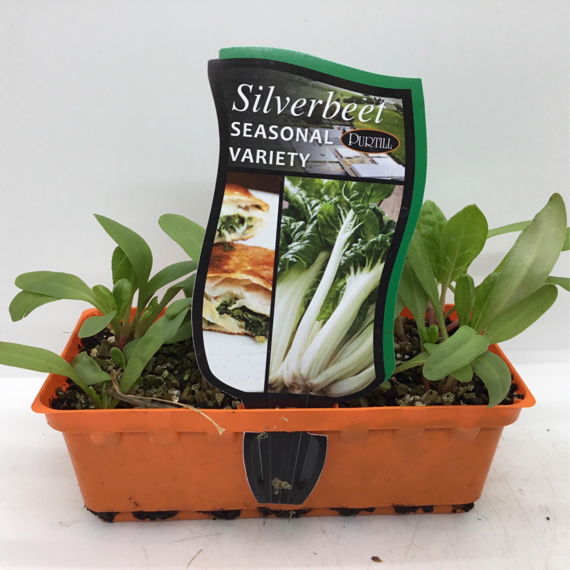 Silverbeet seasonal | Formosa Gardens Nursery, Ballarat
