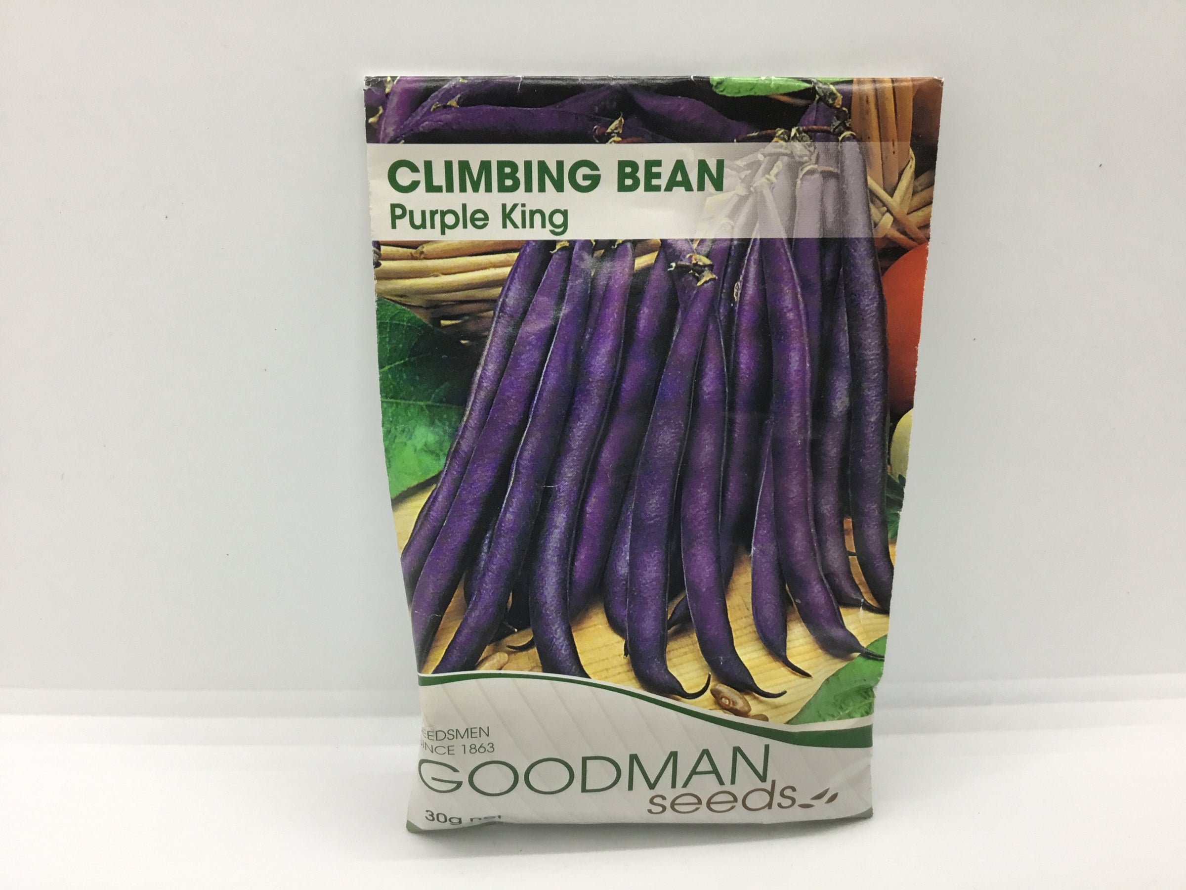 Bean Climbing purple king | Formosa Gardens Nursery, Ballarat
