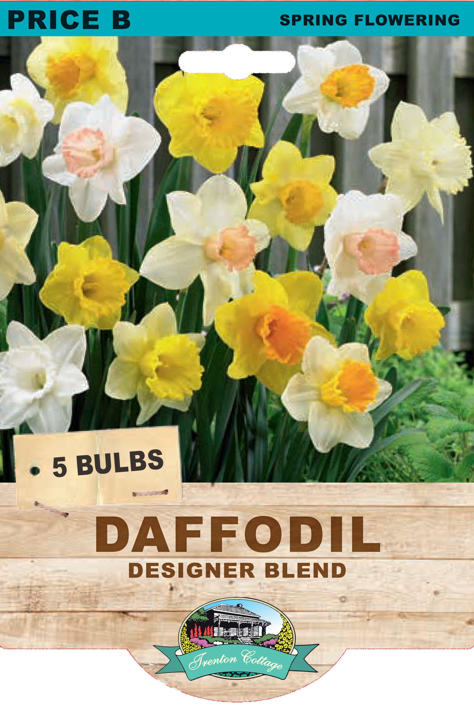 Daffodil designer blend 5 bulb pk | Formosa Gardens Nursery, Ballarat