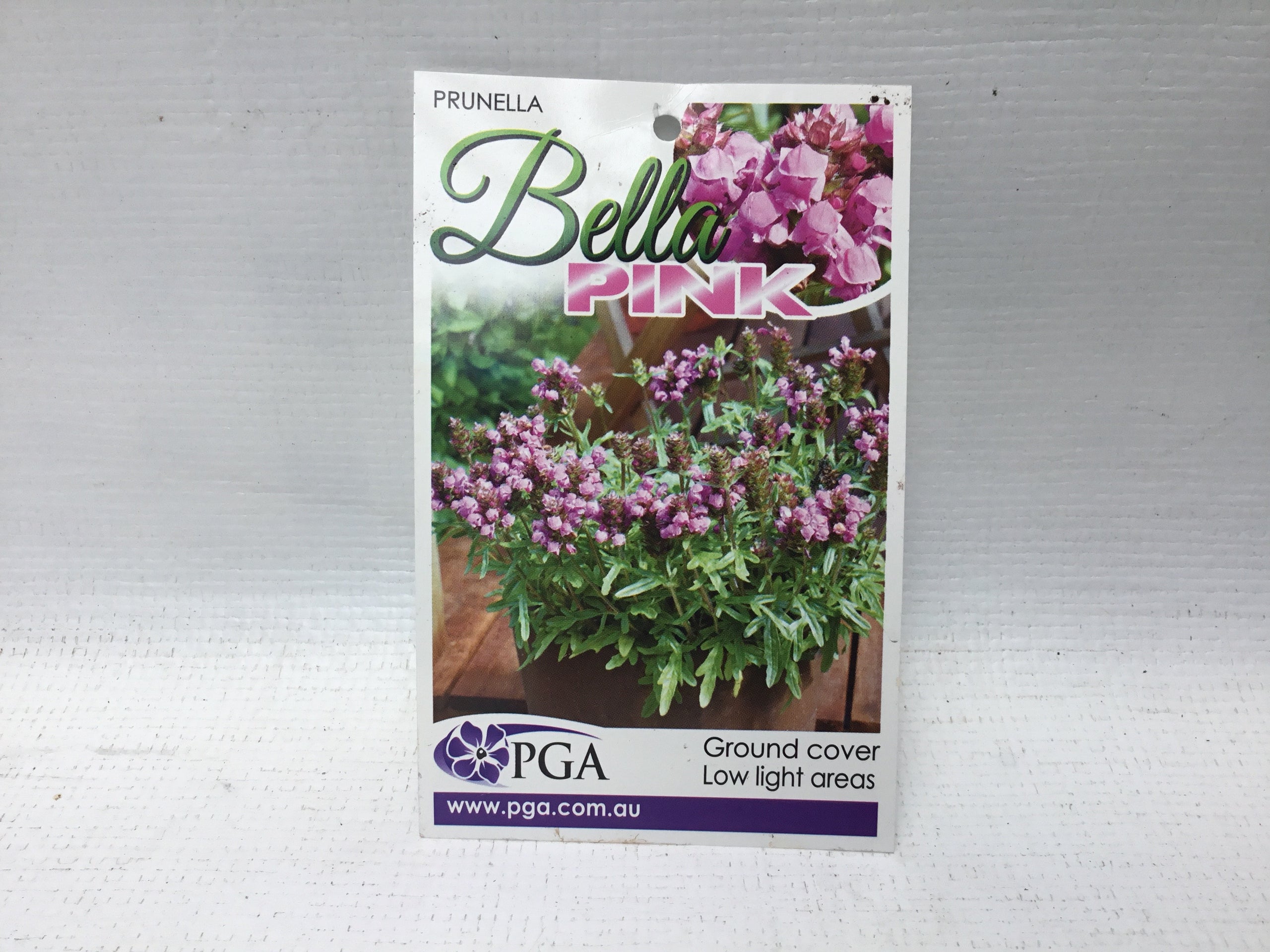 Prunella bella pink | Formosa Gardens Nursery, Ballarat