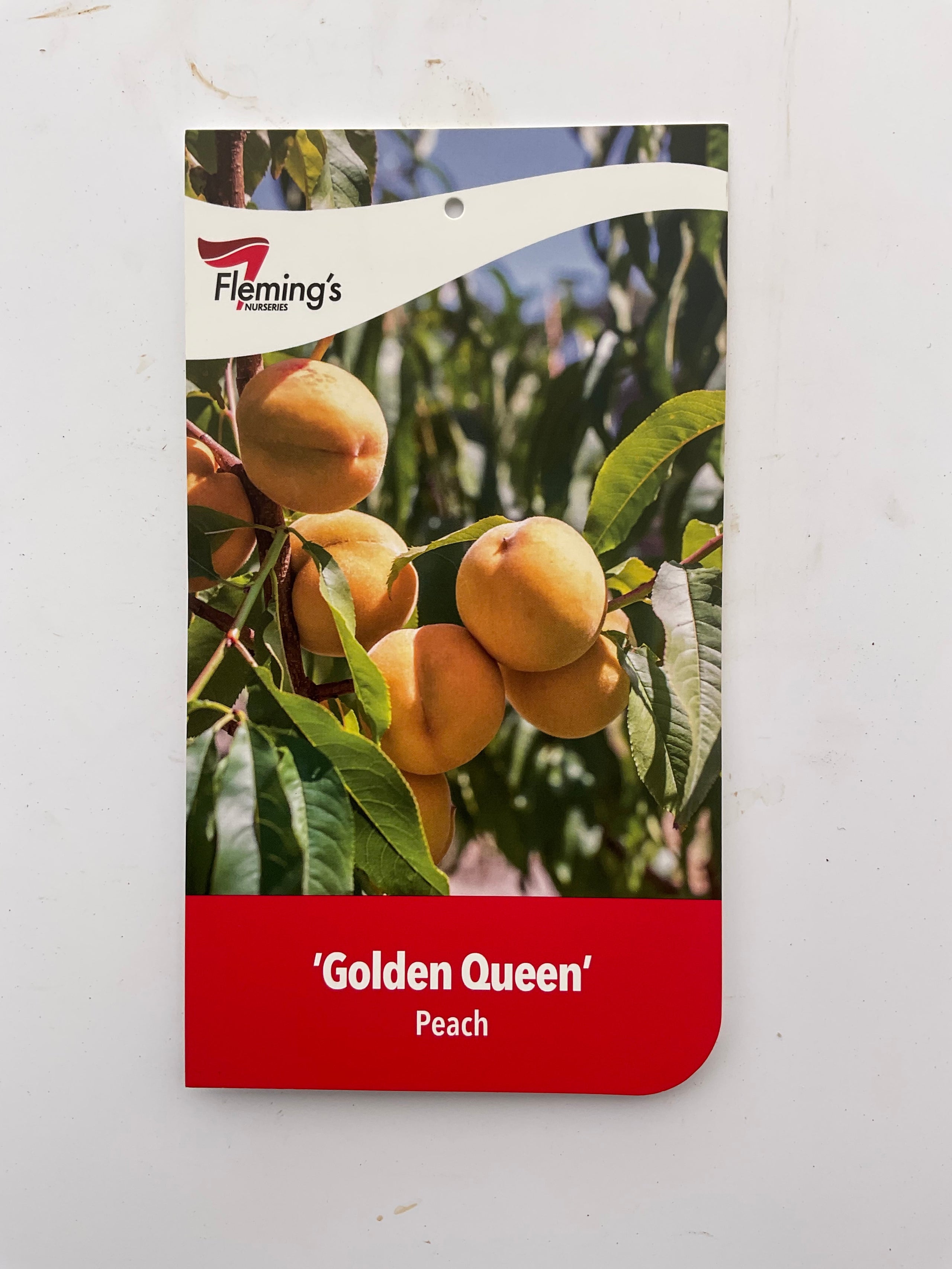 Golden Queen Peach | Formosa Gardens Nursery, Ballarat