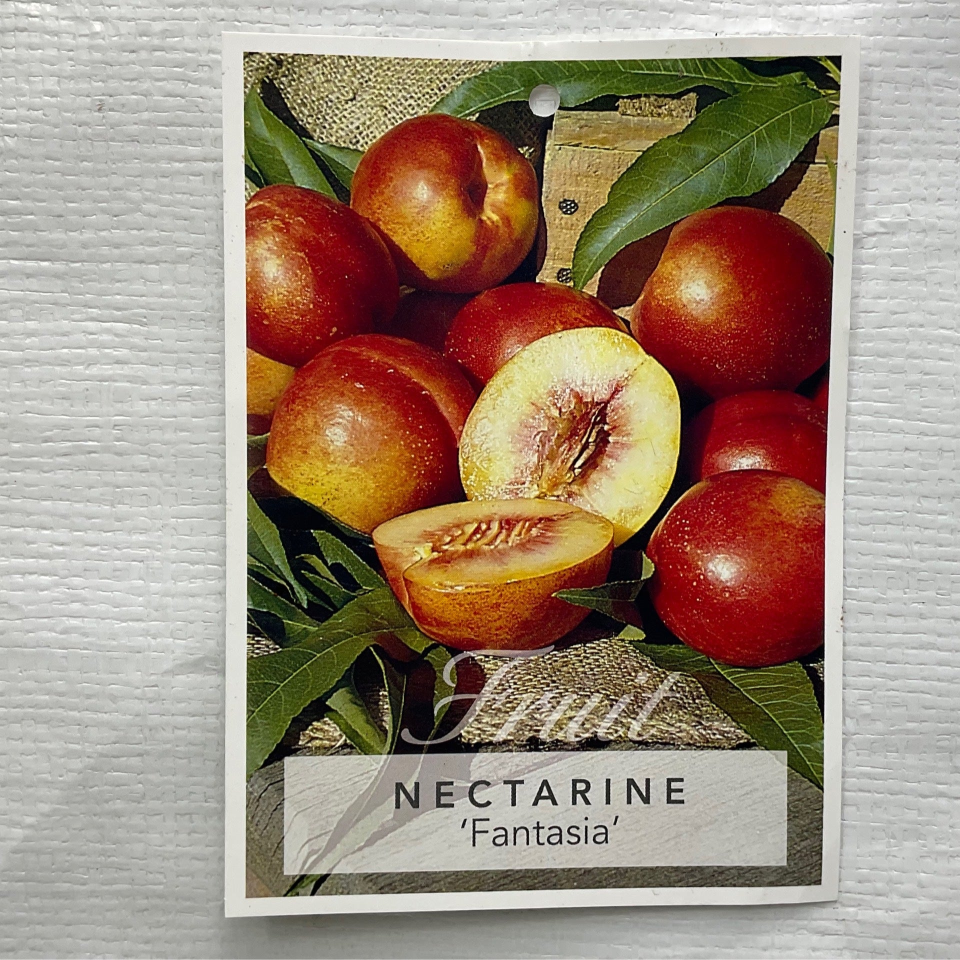 Nectarine Fantasia Advanced | Formosa Gardens Nursery, Ballarat