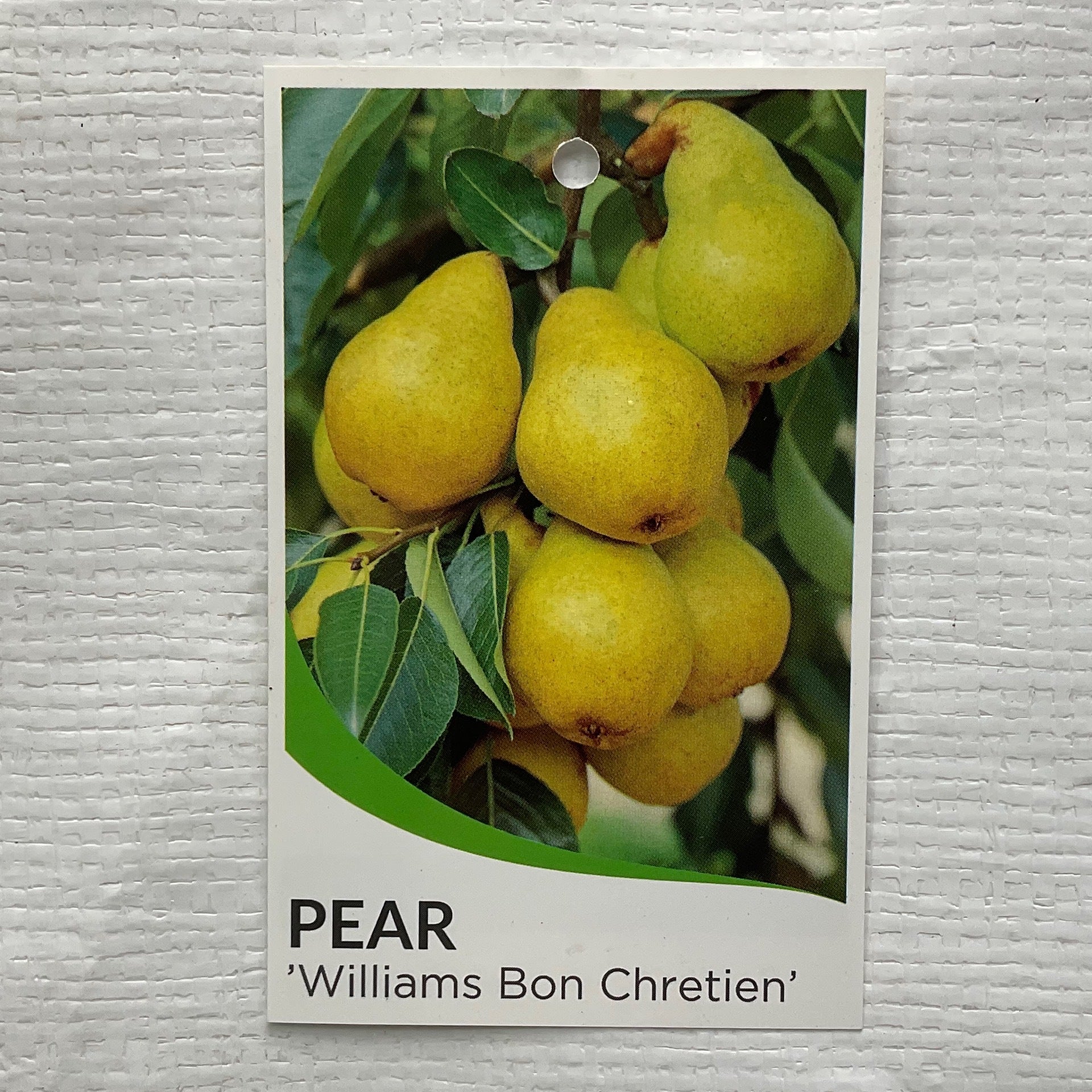 Pear Williams Bon Chretien | Formosa Gardens Nursery, Ballarat