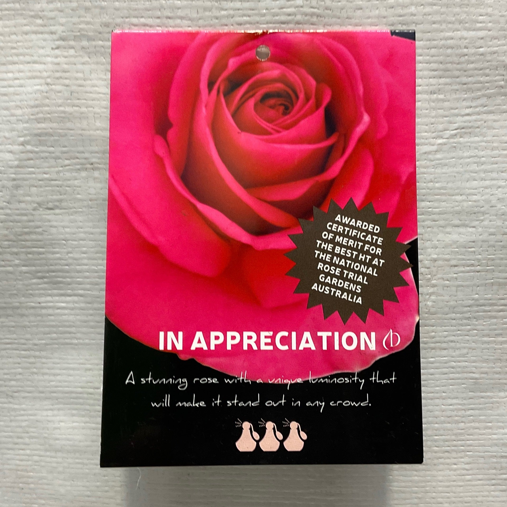 In Appreciation Bush Rose | Formosa Gardens Nursery, Ballarat