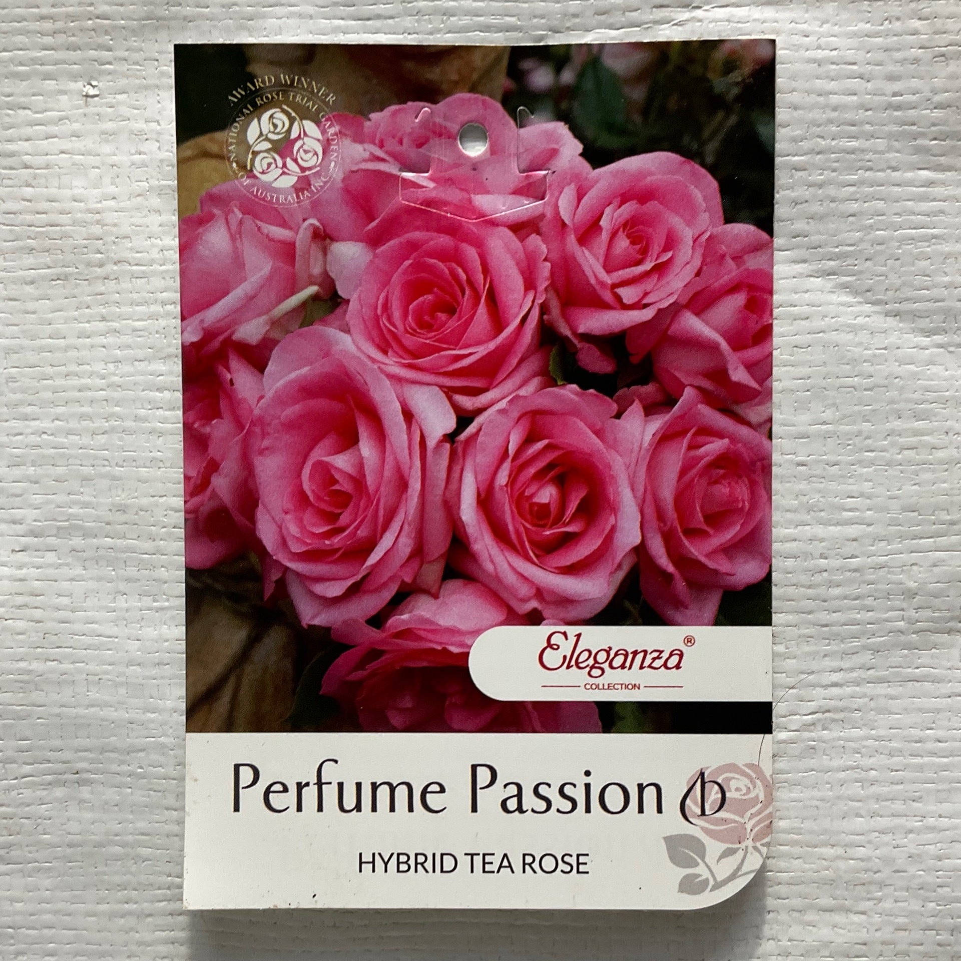 Perfume Passion Bush Rose Formosa Gardens Nursery Ballarat