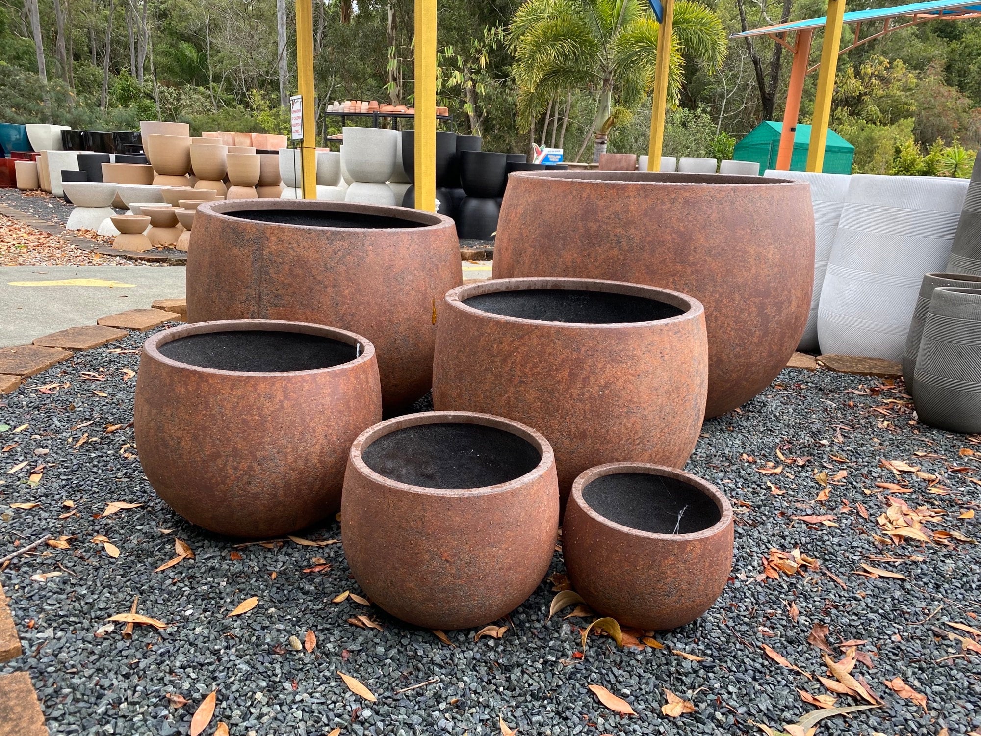 Mega Belly Pot Rust | Formosa Gardens Nursery, Ballarat