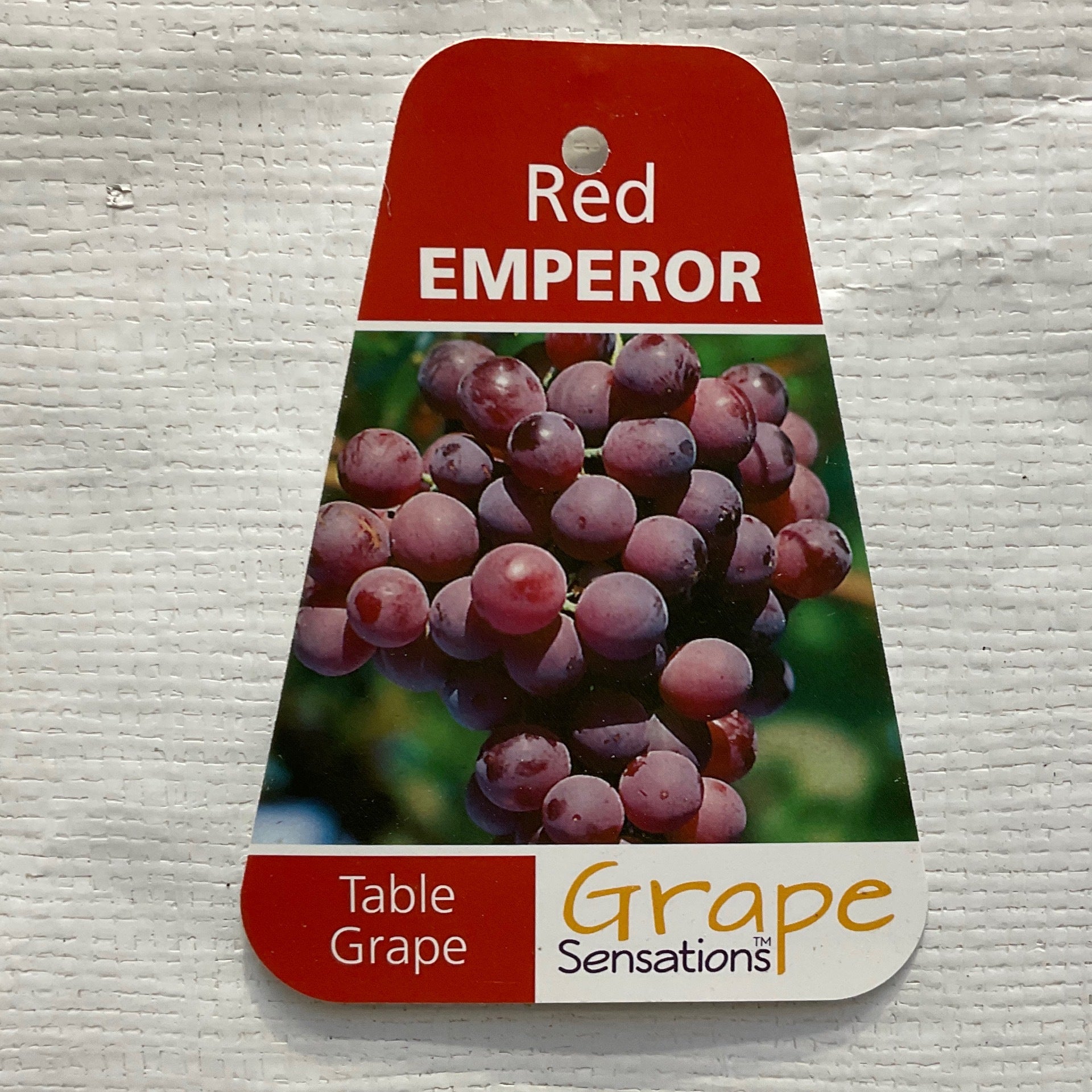 Red Emperor Fruiting Grape | Formosa Gardens Nursery, Ballarat