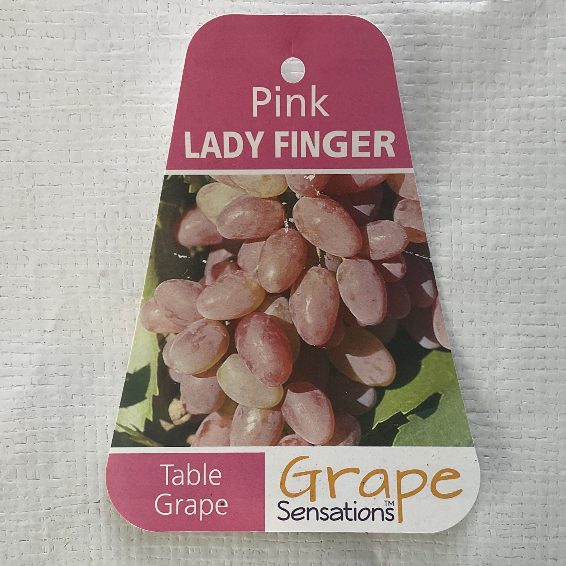 Pink Lady Finger Fruiting Grape | Formosa Gardens Nursery, Ballarat
