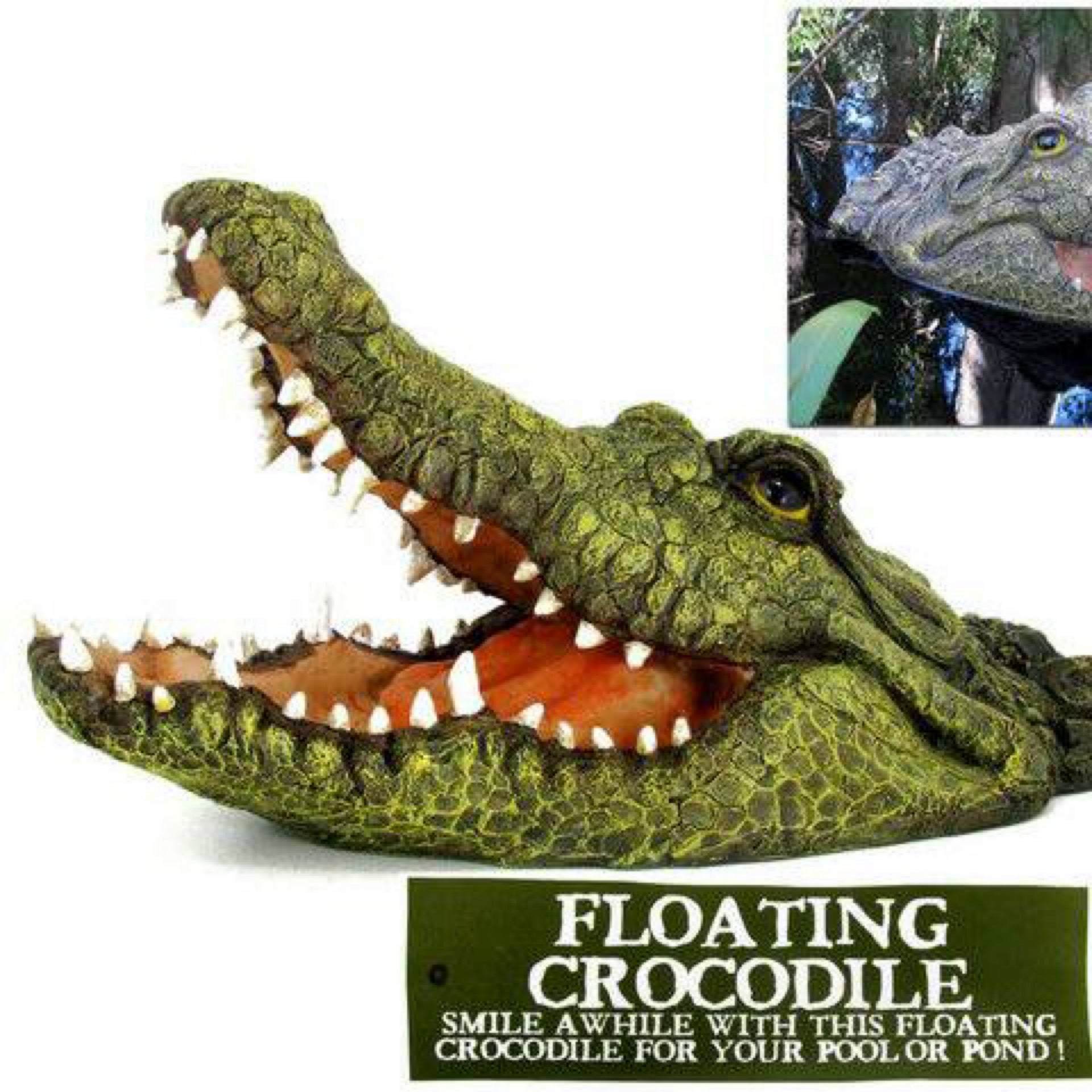 Floating crocodile Head | Formosa Gardens Nursery, Ballarat
