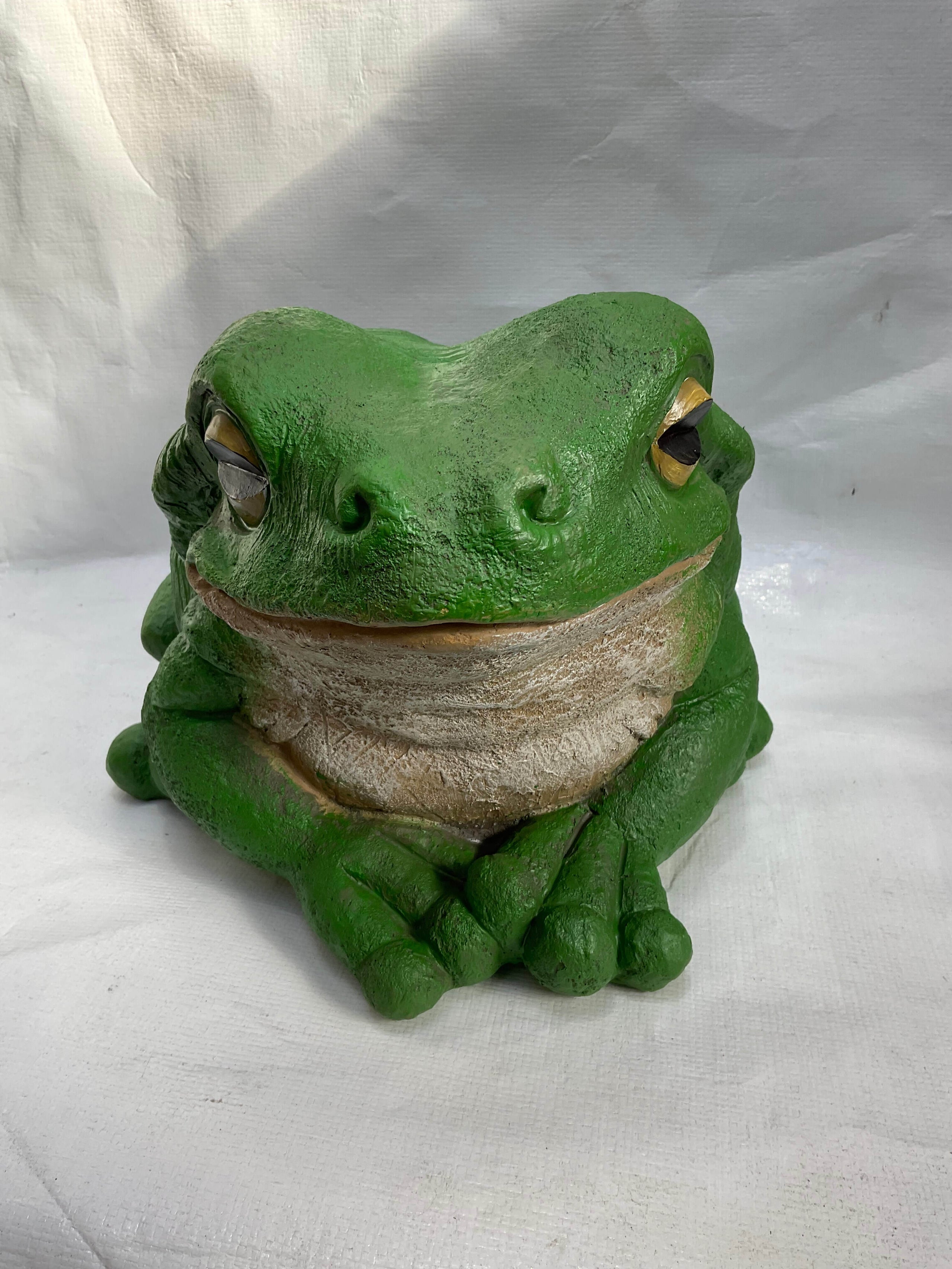 Green Rainforest Frog | Formosa Gardens Nursery, Ballarat