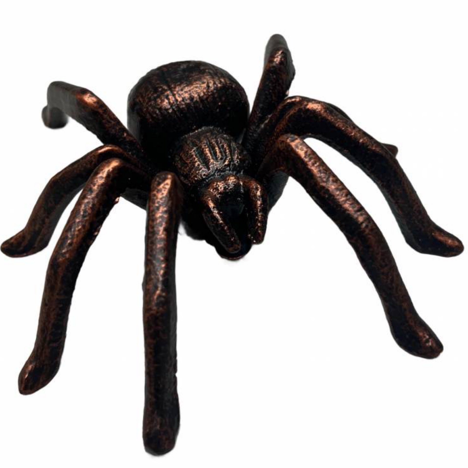 Wolf Spider Cast Iron | Formosa Gardens Nursery, Ballarat