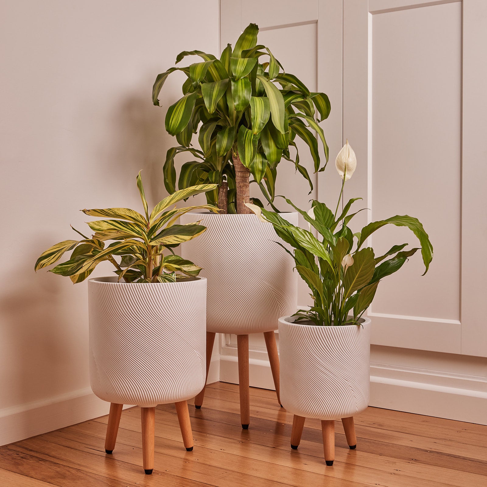 Helix Tripod Pot White | Formosa Gardens Nursery, Ballarat