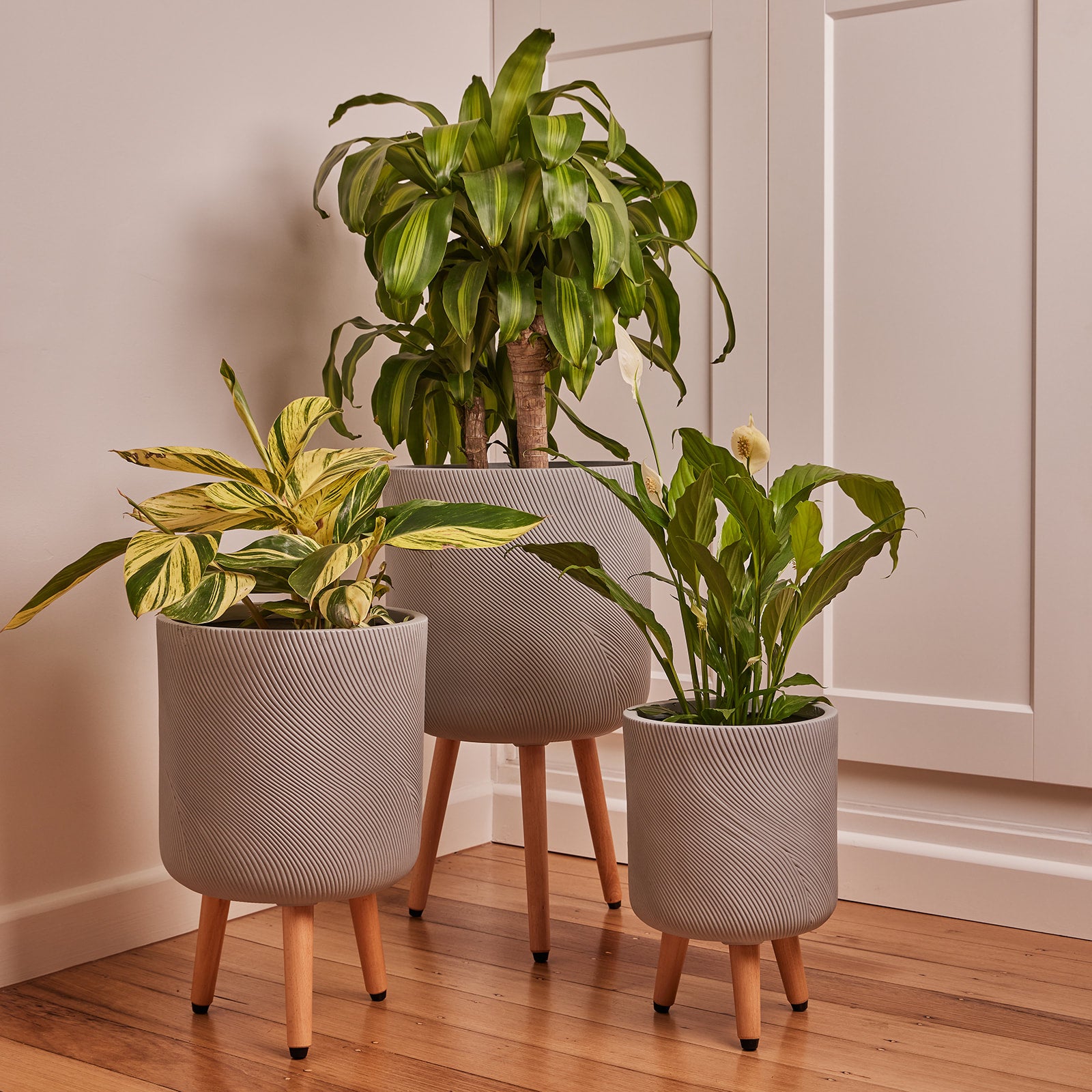 Helix Tripod Pot Grey | Formosa Gardens Nursery, Ballarat