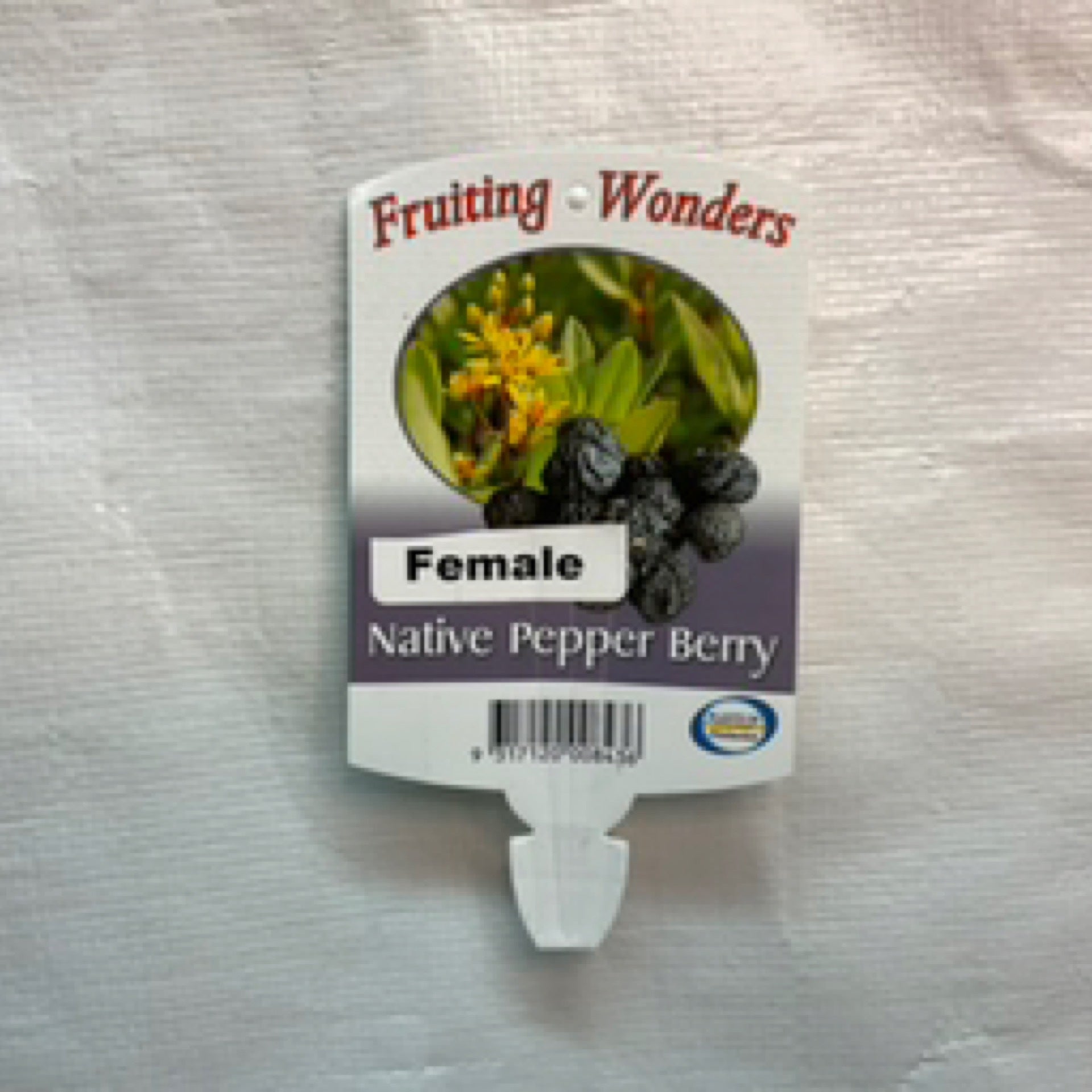 Native Pepper Berry Female | Formosa Gardens Nursery, Ballarat