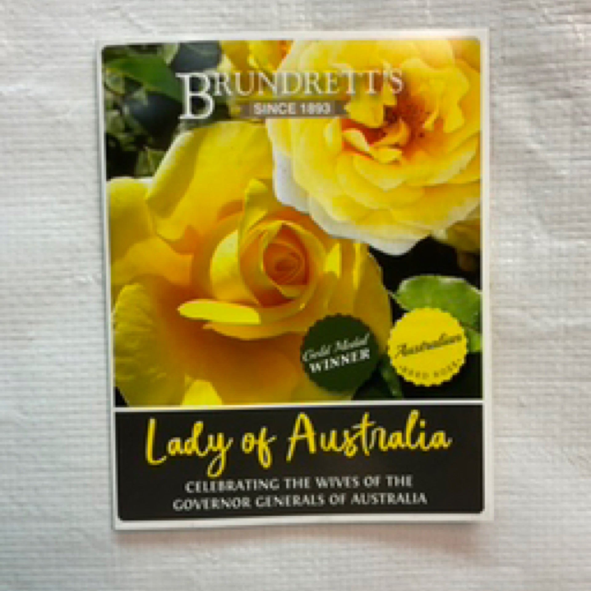 Lady of Australia Bush Rose | Formosa Gardens Nursery, Ballarat